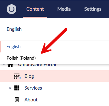 What Is Umbraco CMS? Fundamentals Explained